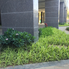 SD CORPORATION ALPINE TOWERS – Shivneri Garden