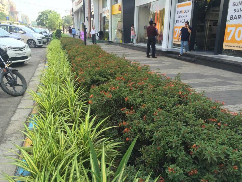 Softscape Work – Shivneri Garden