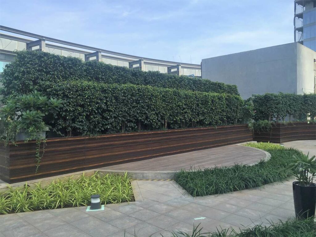 Softscape Work – Shivneri Garden