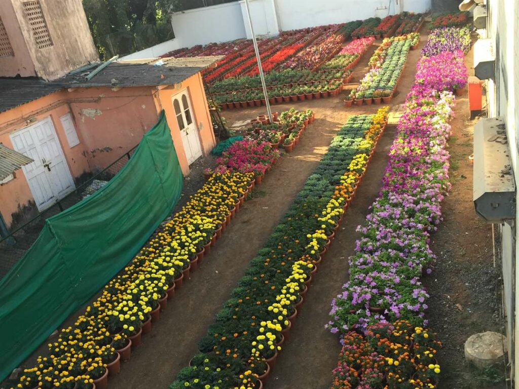 Softscape Work – Shivneri Garden