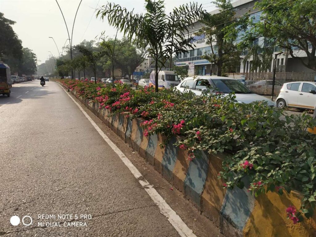 Softscape Work – Shivneri Garden